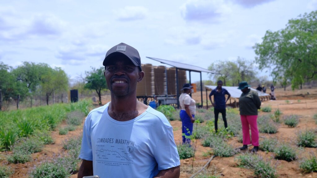 Elephants Alive Distillation Program - GlobalGiving