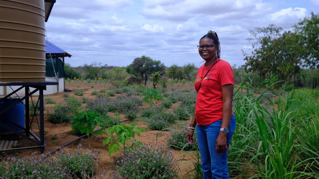 Elephants Alive Distillation Program - GlobalGiving