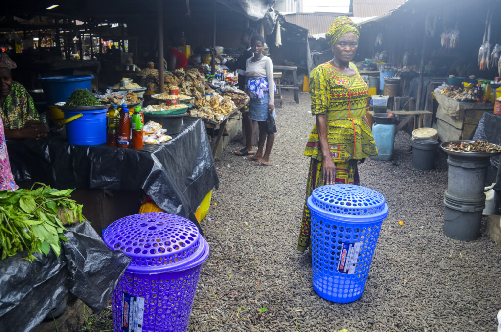 Sponsor: Environment, Clean water Project, Nigeria - GlobalGiving