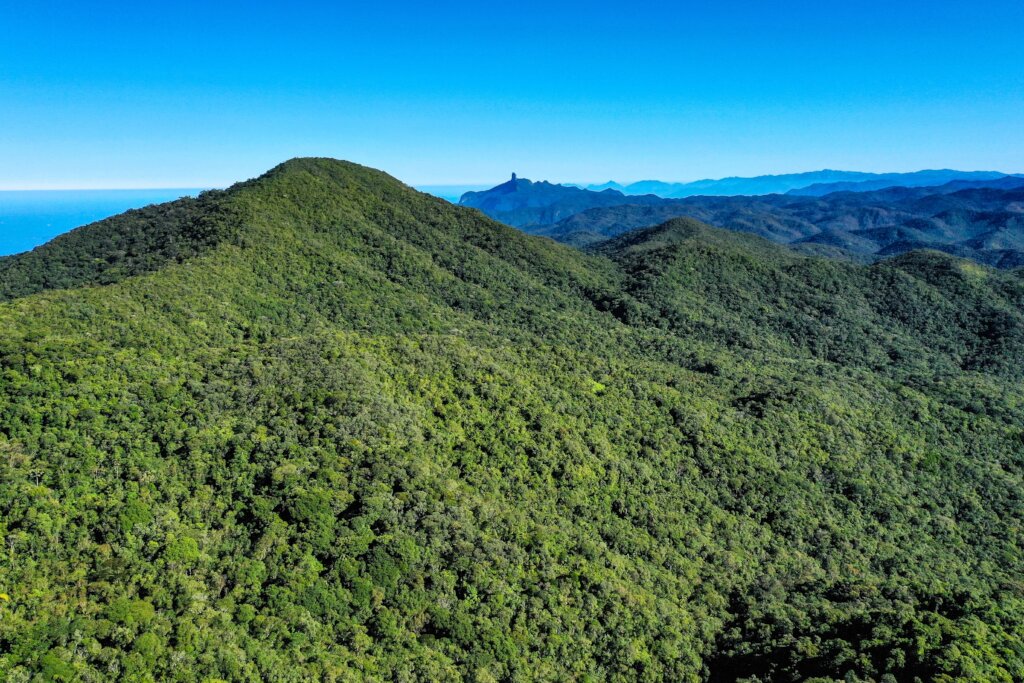 Atlantic Forest Biodiversity Monitoring - GlobalGiving