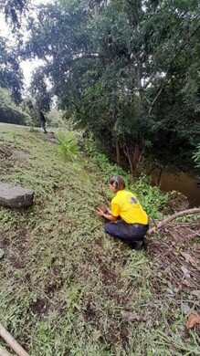 Stop Forest Fires in Rural Panama - GlobalGiving
