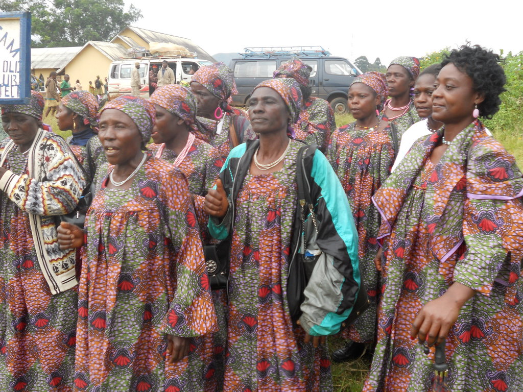 Fruit Tree Cultivation in Cameroon- UT - GlobalGiving