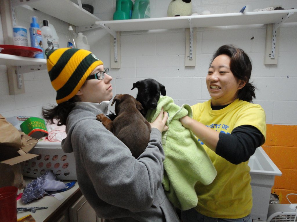 Help Students to Save Homeless Pets in the US - GlobalGiving