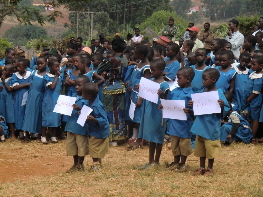 Reports on Health Education in 20 Primary Schools in Cameroon ...