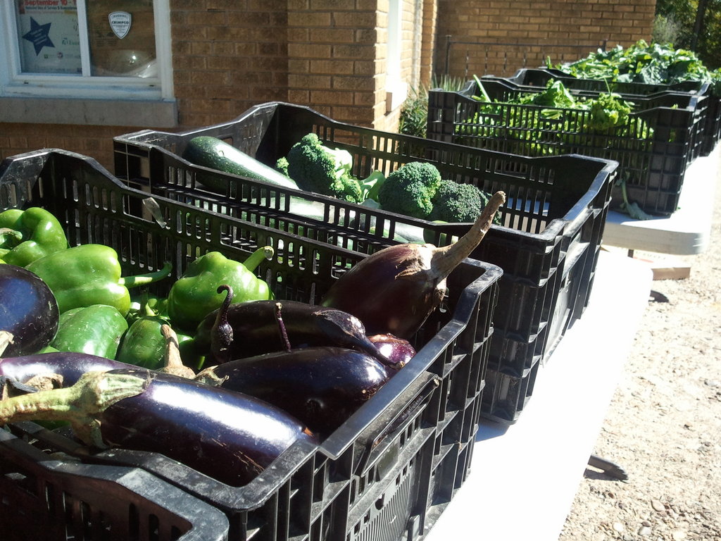 Aya Community Markets - GlobalGiving