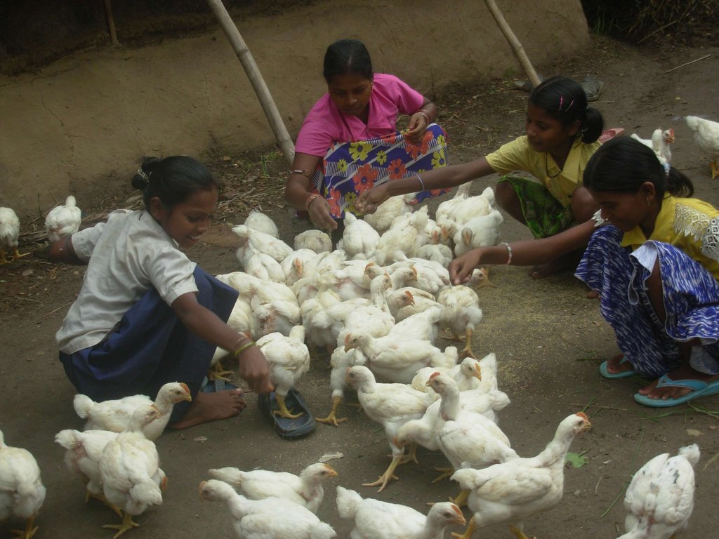 SUSTAINABLE LIVELIHOOD AND ENTERPRISE DEVELOPMENT - GlobalGiving