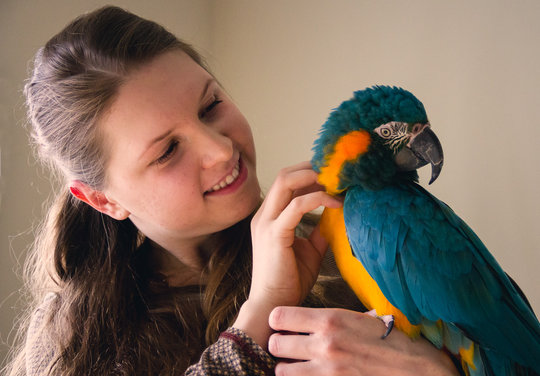 Rescue Unwanted and Abandoned Companion Birds - GlobalGiving