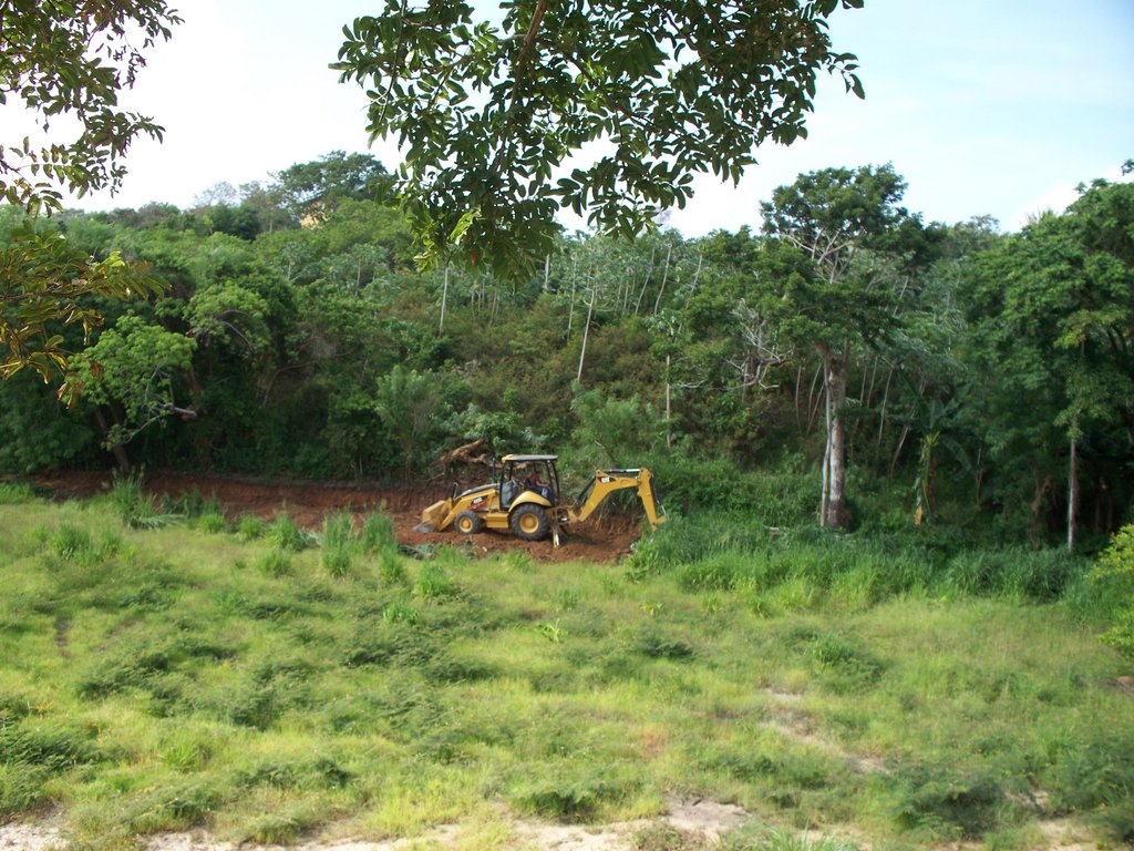 Baseball League for 80 At-Risk Youth in Honduras - GlobalGiving