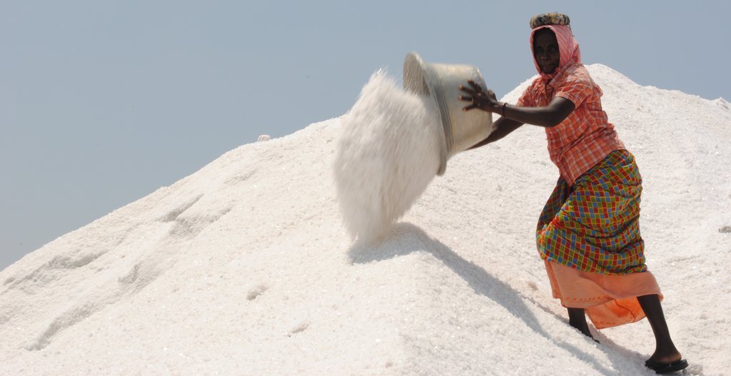 Enhance health of 900 SaltPan Women in South India - GlobalGiving