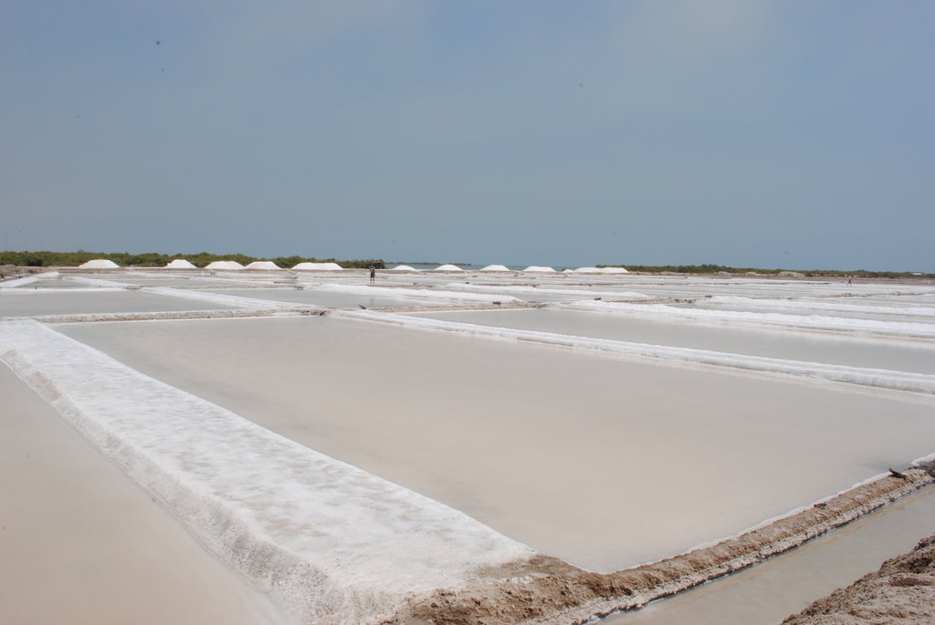 Enhance health of 900 SaltPan Women in South India - GlobalGiving