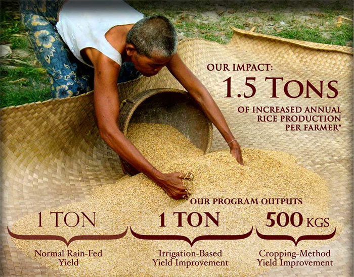 Increase rice yield for Cambodian poor farmers - GlobalGiving