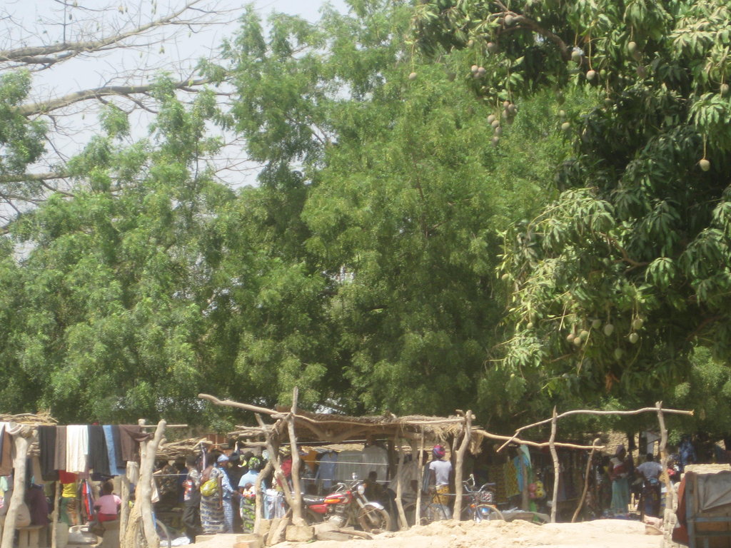 Solar energy for 2,500 villagers in Salamale, Mali - GlobalGiving