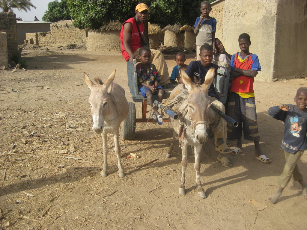 Solar energy for 2,500 villagers in Salamale, Mali - GlobalGiving