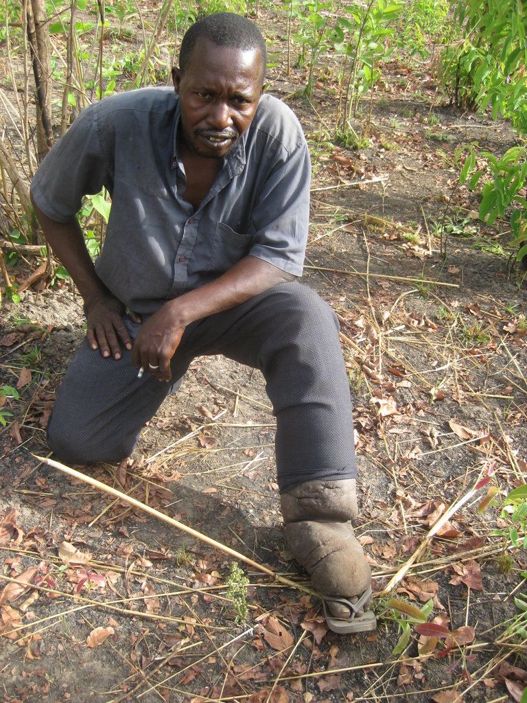 Solar energy for 2,500 villagers in Salamale, Mali - GlobalGiving