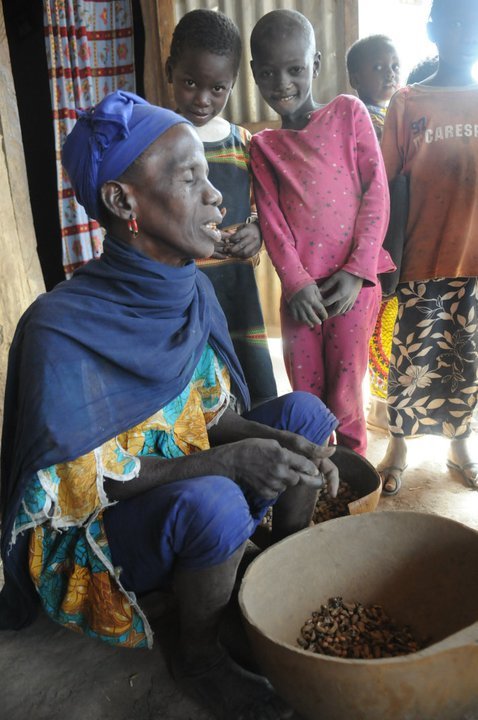 Solar energy for 2,500 villagers in Salamale, Mali - GlobalGiving