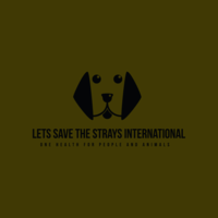 Donate to Lets Save The Strays International Inc