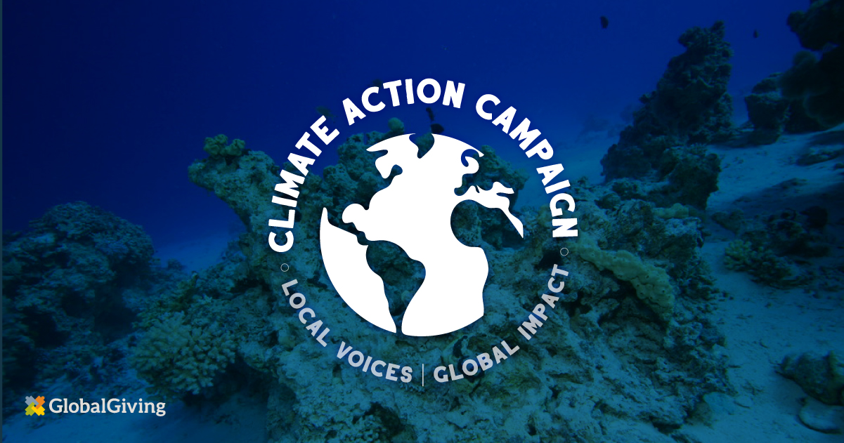 GlobalGiving - 2020 Climate Action Campaign Terms