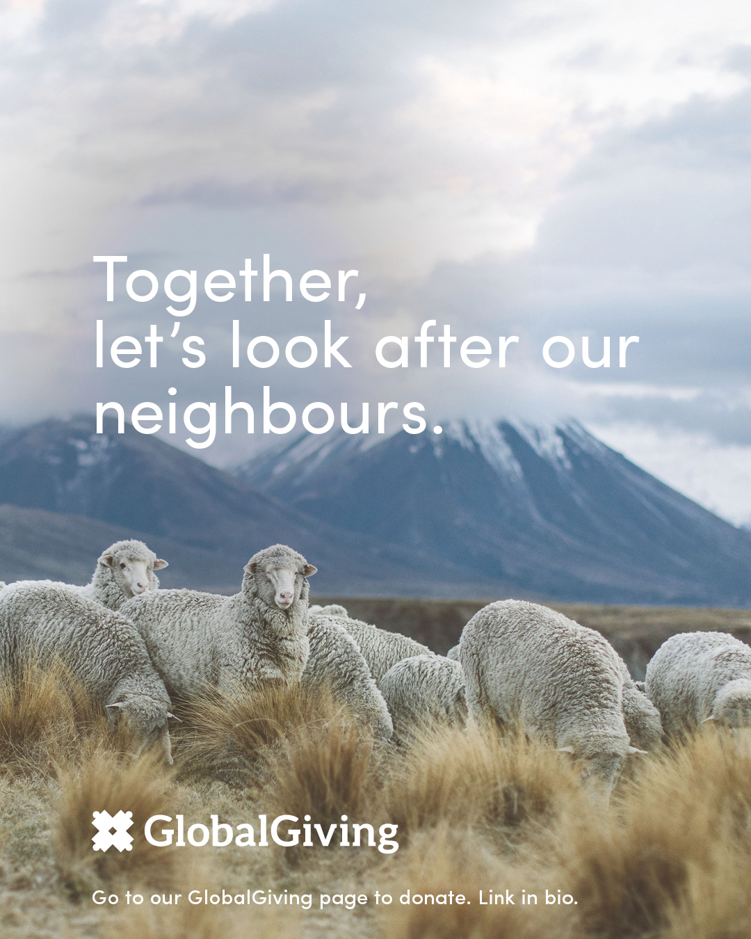 GlobalGiving - Icebreaker gives back to global COVID-19 relief efforts