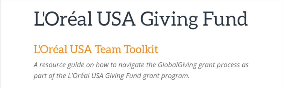 GlobalGiving - L'Oréal Team Toolkit